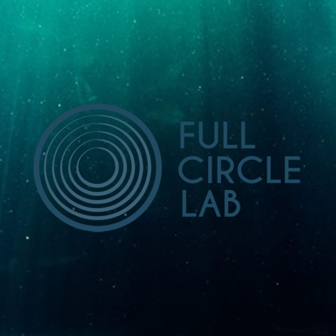 Full Circle Lab Upper Rhine on Pop Up board! | Pop Up Film Residency